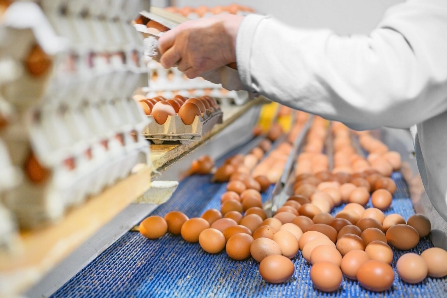 Food-Grade Polyurethane for Agriculture | Uniflex